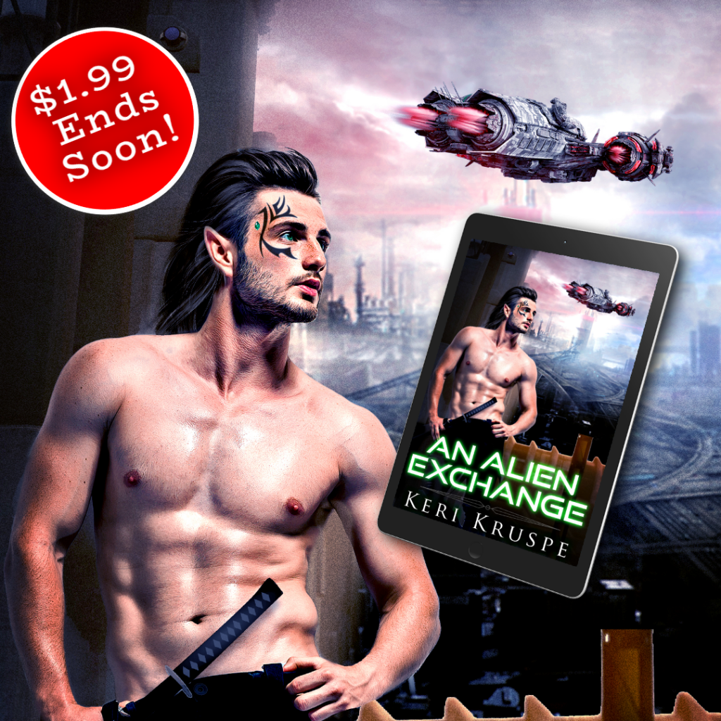 Money-Making Projects an Author Can Pursue by Keri Kruspe · Writer's Fun Zone